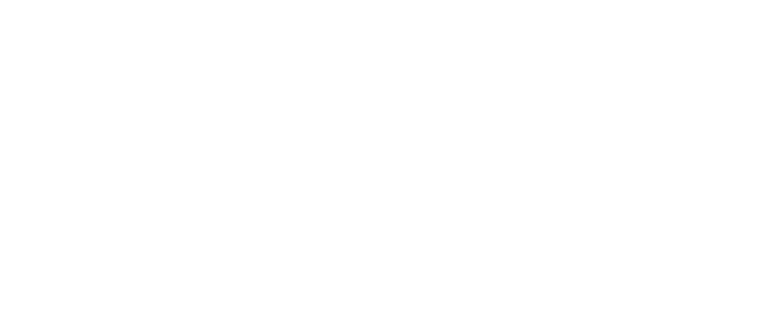 INSTITUCIÓN - IDENNA